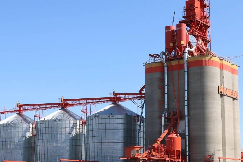 Grain Storage Systems | Flynn Bros Projects, Edmonton, Alberta